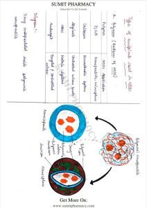 8th Semester Handwritten Notes(B.Pharma) | Sumit Pharmacy